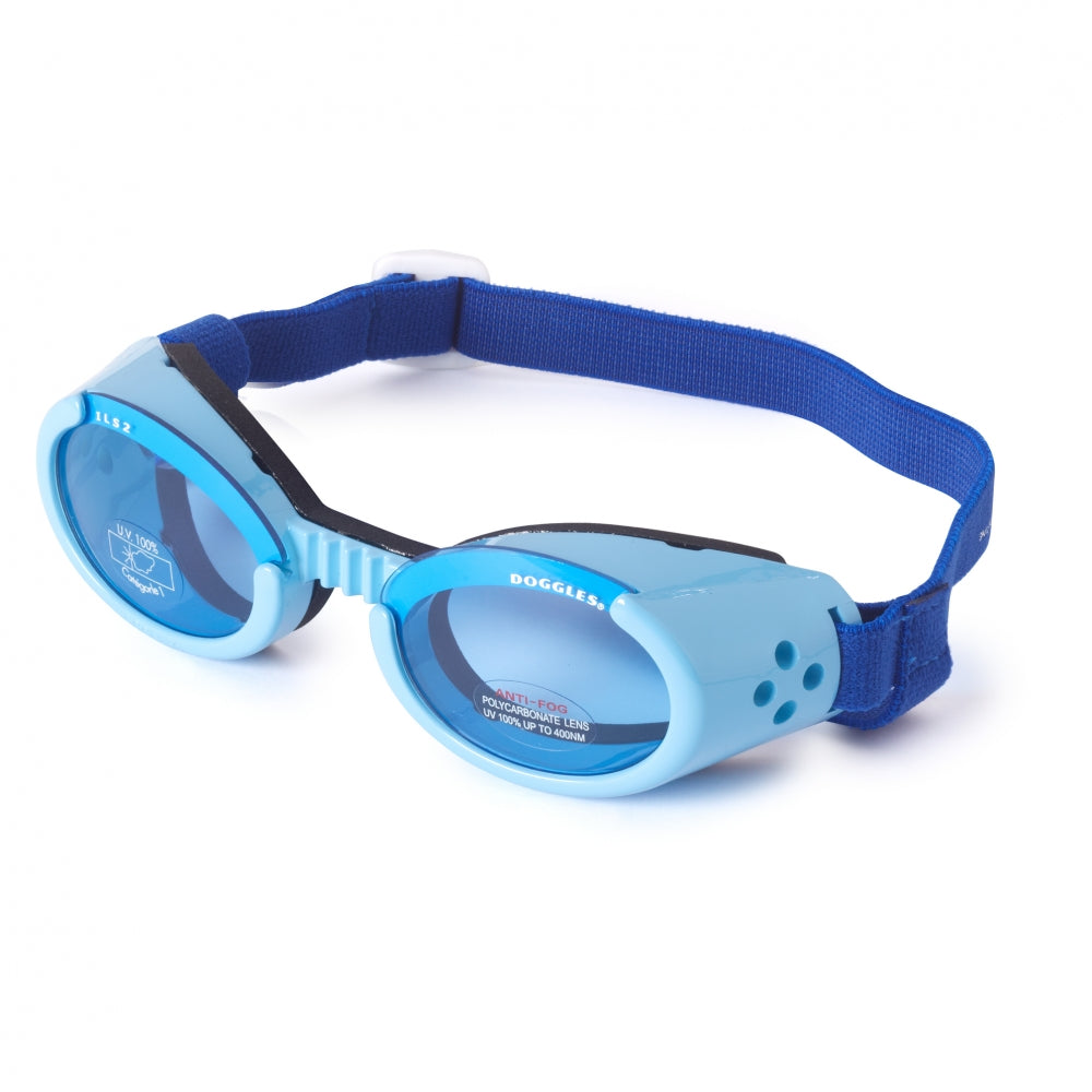 Doggles ILS Goggles Shiny Blue Frames | Preppy Companion Dog Shoppe